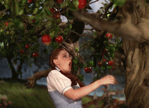 New Trending Tagged Wizard Of Oz Dorothy Trending S 6719