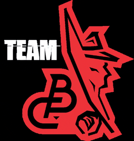 Bobby Team B Gif