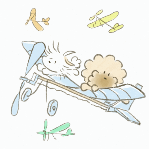 Funny Transparent Gif