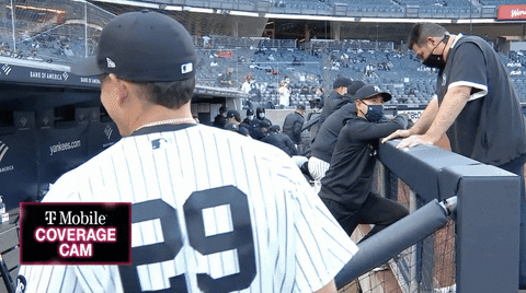 Happy New York Yankees GIF by Jomboy Media - Find & Share on GIPHY