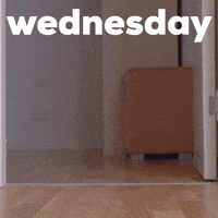 Happy-beard-day GIFs - Get the best GIF on GIPHY