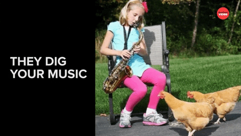 Why-animals-make-the-best-friends GIFs - Get the best GIF on GIPHY