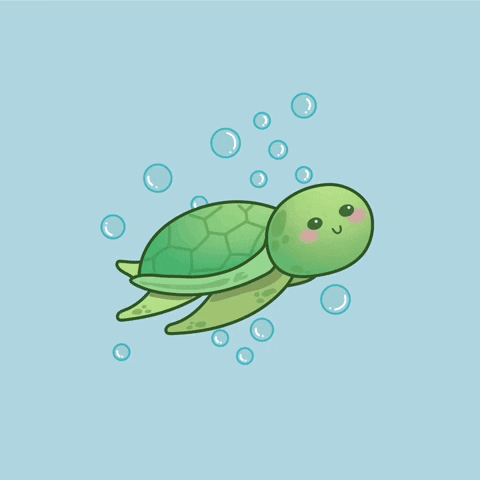 Sea Turtle Swimming GIF - Find & Share on GIPHY