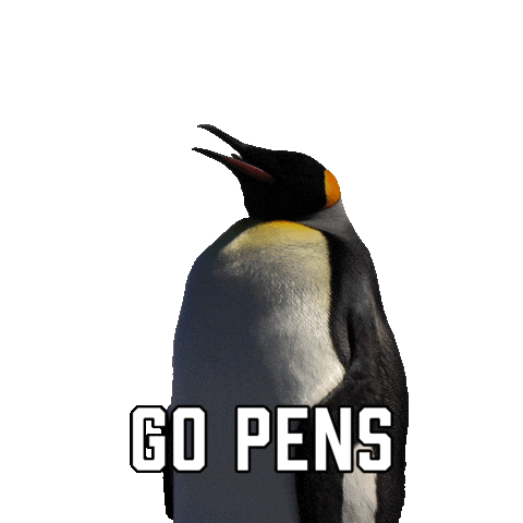 Bud Light Penguin Gif | Shelly Lighting