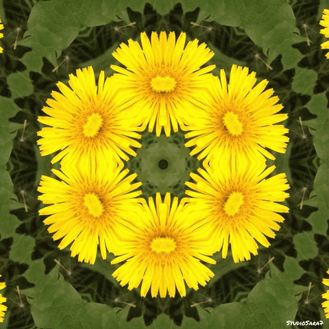 Yellow Mellow GIFs - Get the best GIF on GIPHY