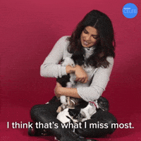What-we-miss GIFs - Get the best GIF on GIPHY