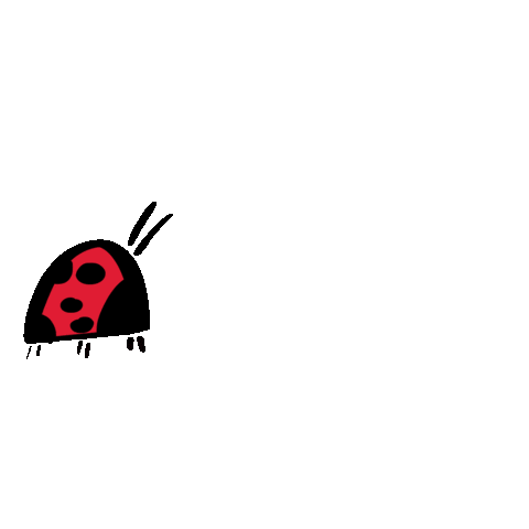 Ladybug Flying Gif