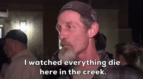 Watching-everything GIFs - Get the best GIF on GIPHY