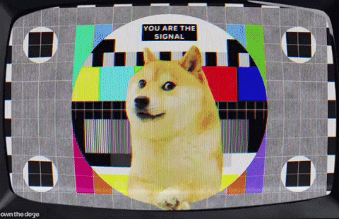 Own The Doge GIFs on GIPHY - Be Animated