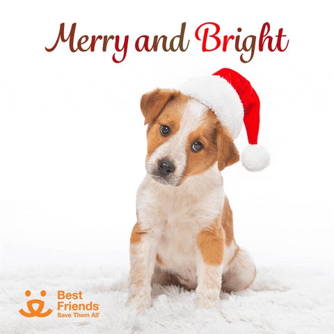 Merry And Bright GIFs - Get the best GIF on GIPHY