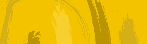 Face Equality International GIFs on GIPHY - Be Animated