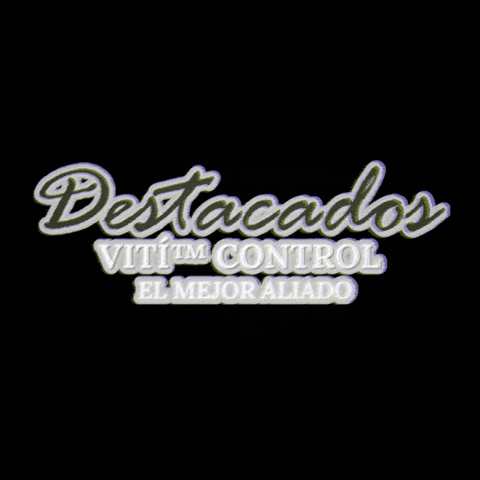 Fajas Colombianas GIF by VITI - Find & Share on GIPHY