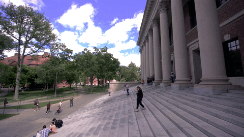 School College GIF by Harvard University - Find & Share on GIPHY