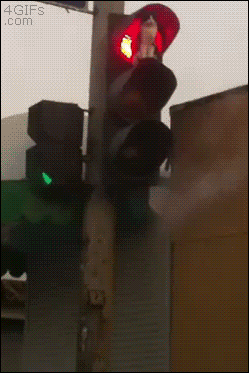 Traffic Light GIFs - Find & Share on GIPHY
