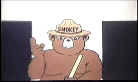 How About No Bear Gif
