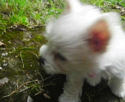 I Wish She Was Still This Small GIFs - Get the best GIF on GIPHY