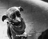 Master Has Given Dobby A Sock Gif