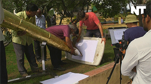 Fasting Moving Tortoise GIFs - Get the best GIF on GIPHY