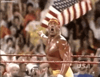 Hulk Hogan Shirt Gif