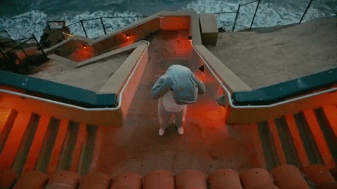 Beach Slug GIFs - Get the best GIF on GIPHY