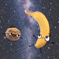 Walnut and Banana GIFs on GIPHY - Be Animated