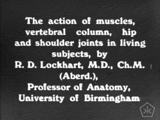 Vertebral-column GIFs - Get the best GIF on GIPHY