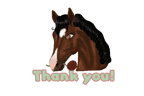 Horse Thank You Sticker for iOS & Android | GIPHY