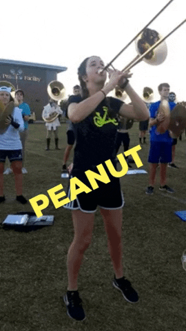 Band Pun GIFs - Get the best GIF on GIPHY