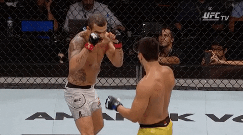 Front Kick GIFs - Find & Share on GIPHY
