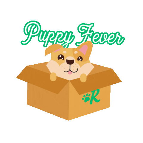 Dog Puppy Sticker by Rover.com for iOS & Android | GIPHY