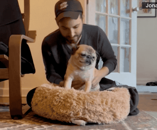 Not-feeling-lazy GIFs - Get the best GIF on GIPHY