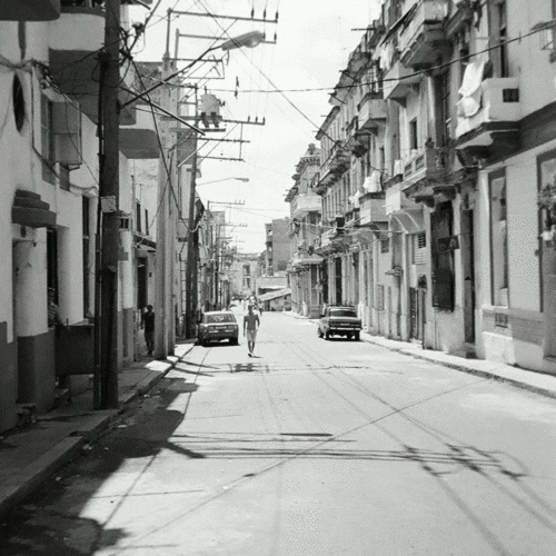 Habana GIF - Find & Share on GIPHY