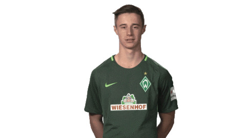 Happy Werder Bremen Sticker by Bundesliga for iOS & Android | GIPHY