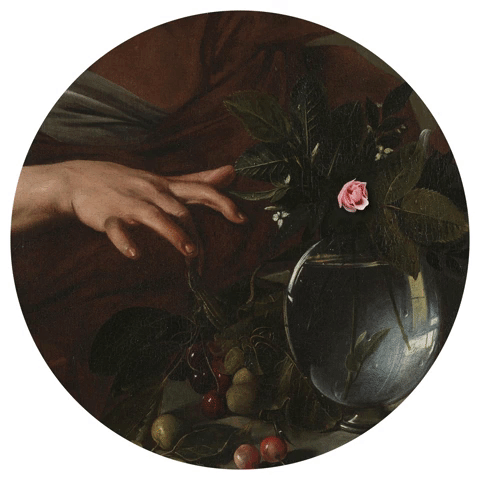 Tea Rose GIFs - Get the best GIF on GIPHY