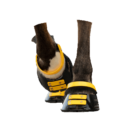 Scoot Boots 2022 GIFs on GIPHY - Be Animated