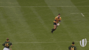 Rugby World Cup Kick GIF by World Rugby - Find & Share on GIPHY