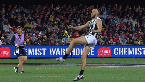 Football Afl GIF by CollingwoodFC - Find & Share on GIPHY
