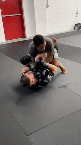 Bjj Armbar GIF by Droogs MMA and Jiu Jitsu - Find & Share on GIPHY