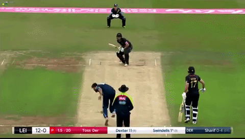 Animated GIF - Find & Share on GIPHY