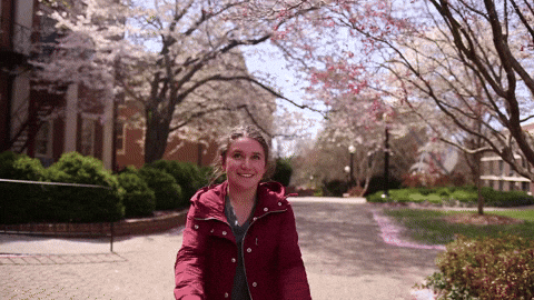 10 Spring Half Term Ideas for Teachers - Twinkl