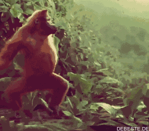 Happy Monkey Dance GIFs - Get the best GIF on GIPHY