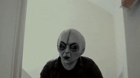 Flip Off Music Video GIF by Topshelf Records - Find & Share on GIPHY