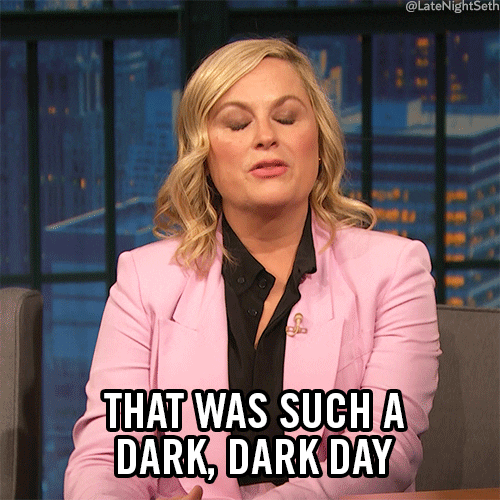 Amy Poehler Gif