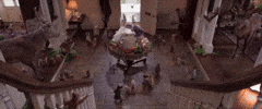 Peter Rabbit GIFs - Find & Share on GIPHY