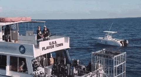 Flavor Town GIFs - Get the best GIF on GIPHY