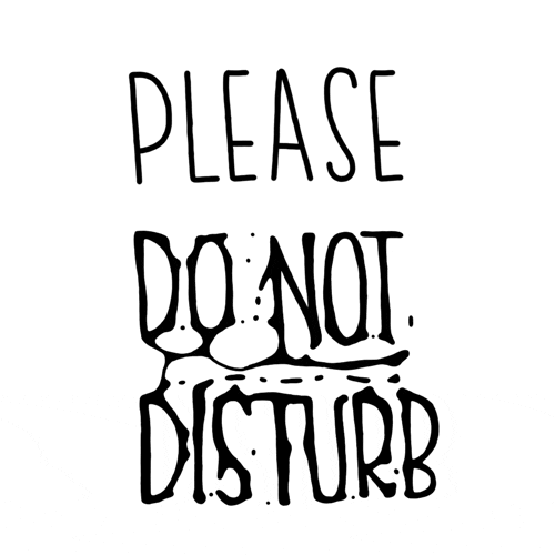 Please-disturb GIFs - Get the best GIF on GIPHY