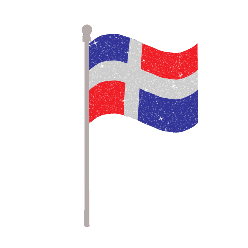 Flag Bandera Sticker by Dominicana's Got Talent for iOS & Android | GIPHY