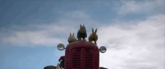 Peter Rabbit GIFs - Find & Share on GIPHY