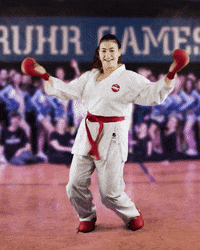 Karate Fight Gif