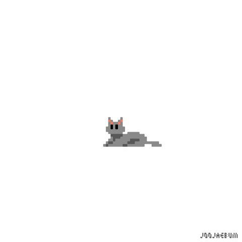 Cat Pixel Gif